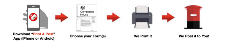 AP01-Appointment of Director's Details Downloadable PDF Form - Print ...